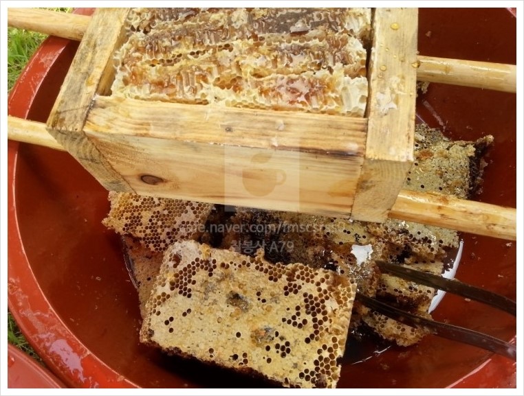 토종꿀 판매 효능 가격 파는곳 한봉꿀 네이버 블로그